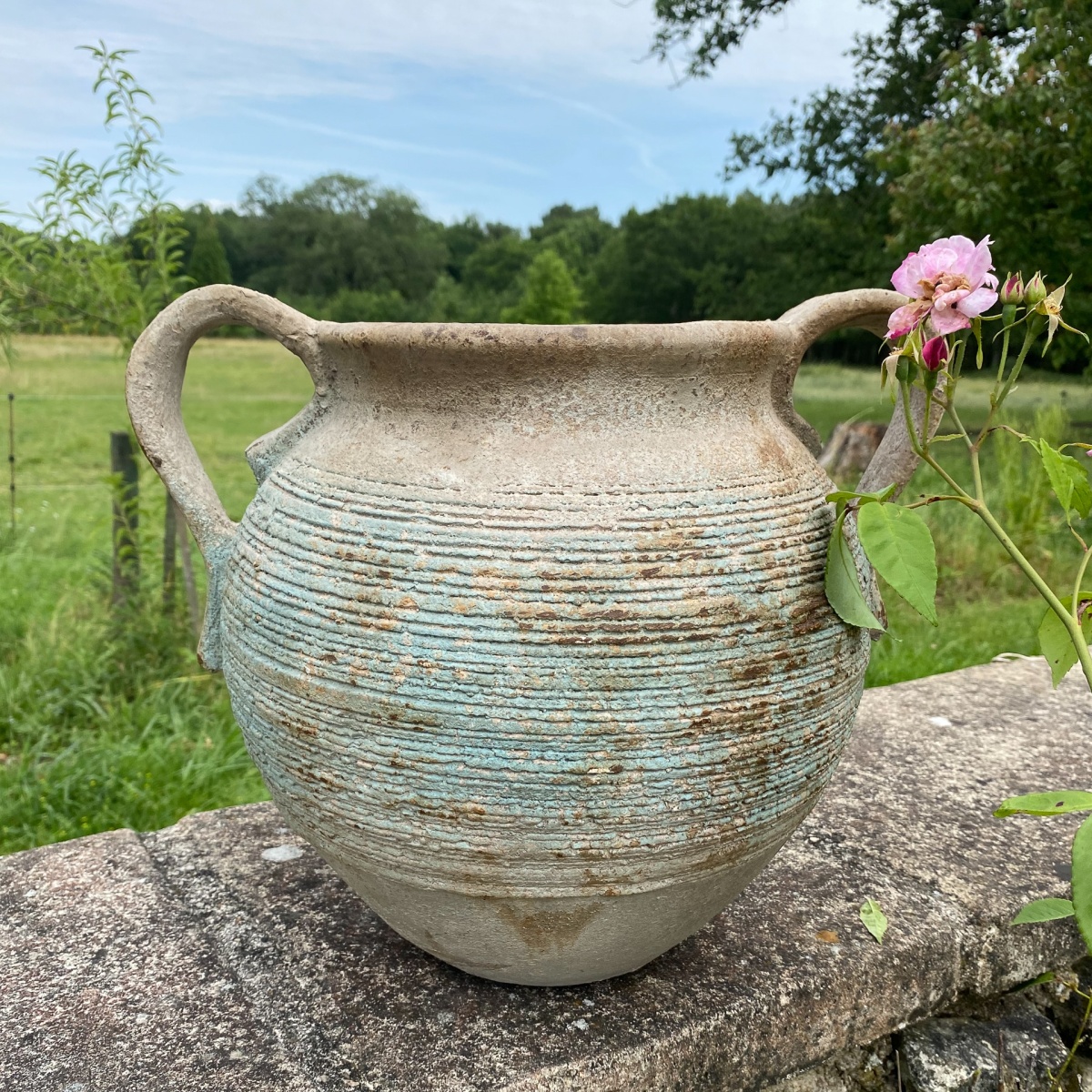 Jarre Olive - Ligerio